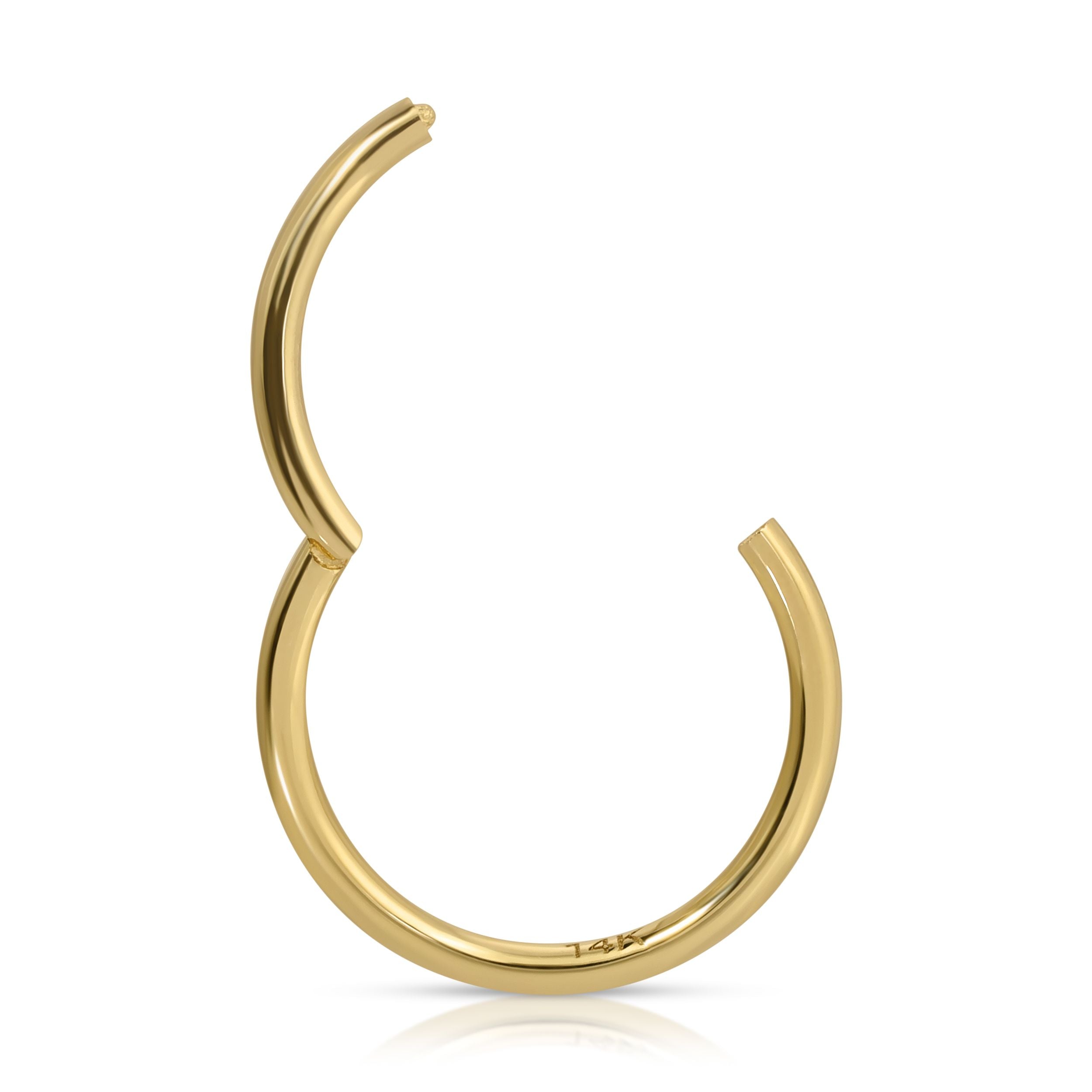 Gold Nose Septum – artwellsbodyart